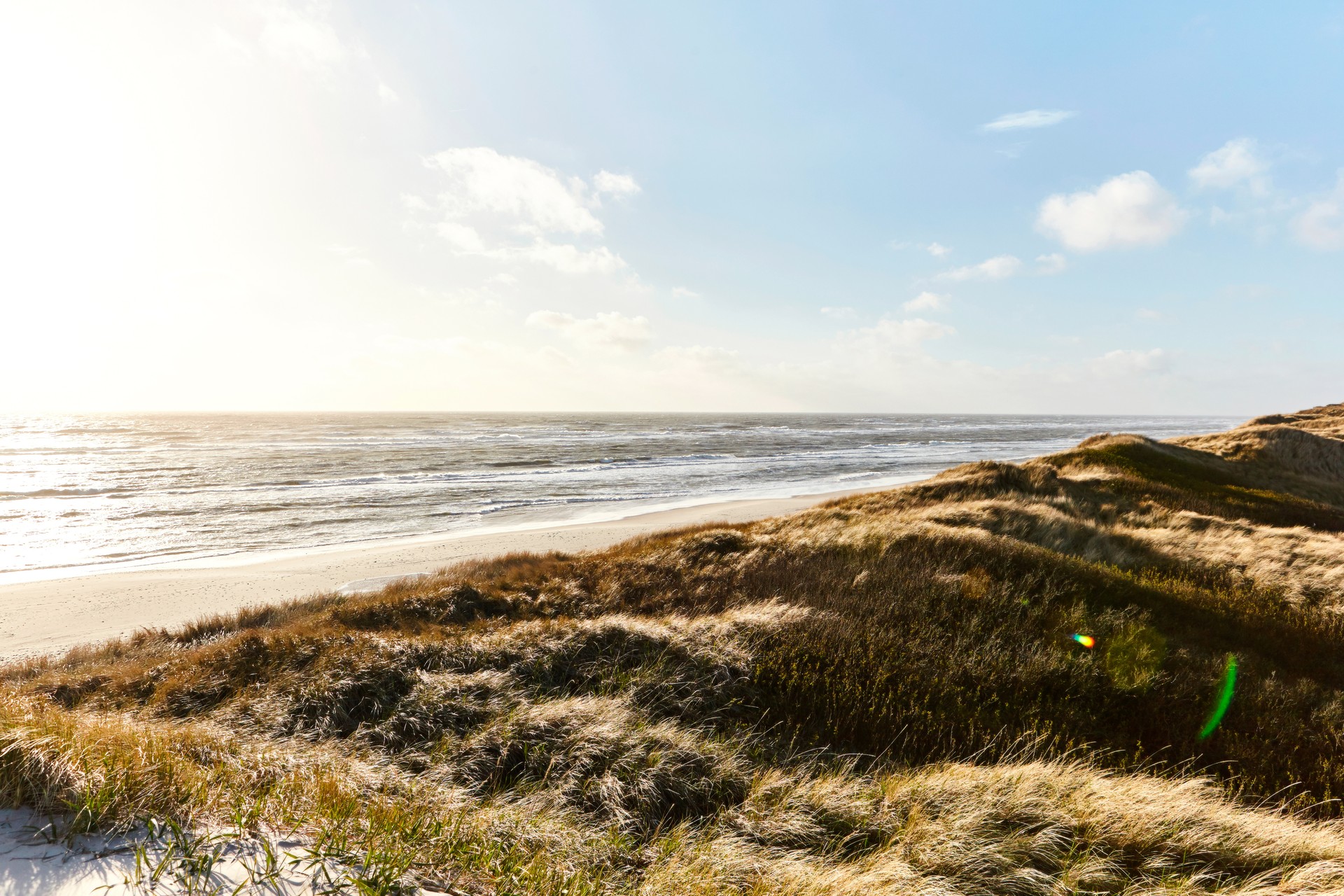 Surf Camp Hvide Sande - Learn How to Surf in Beautiful Denmark
